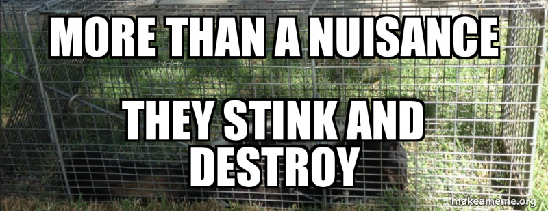 More than a nuisance they stink and destroy Meme Generator