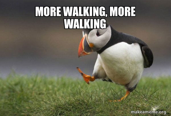 MORE WALKING, MORE WALKING - Unpopular Opinion Puffin Meme Generator