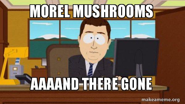 Morel mushrooms aaaand there gone - aaaand its gone Meme Generator