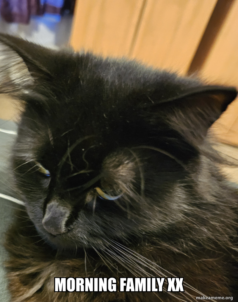 Morning family xx Meme Generator