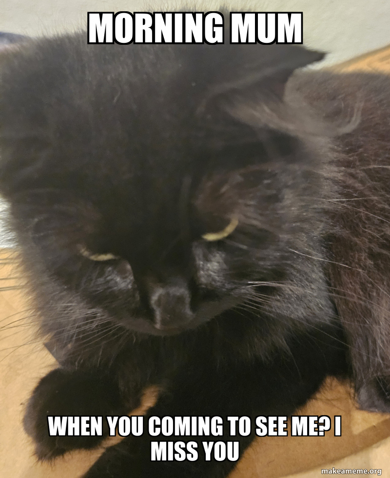 Morning mum When you coming to see me? I miss you Meme Generator