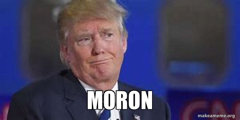 moron Meme Generator