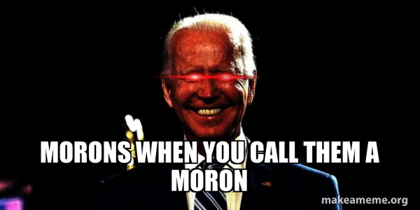 Morons when you call them a moron - Dark Brandon Meme Generator