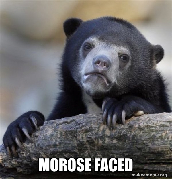 Morose Faced - Confession Bear Meme Generator