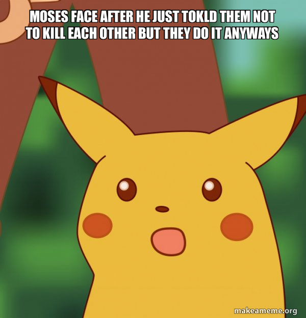 moses face after he just tokld them not to kill each other but they do ...