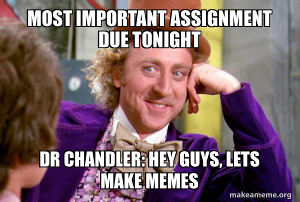 MOST IMPORTANT ASSIGNMENT DUE TONIGHT DR CHANDLER: HEY GUYS, LETS MAKE ...