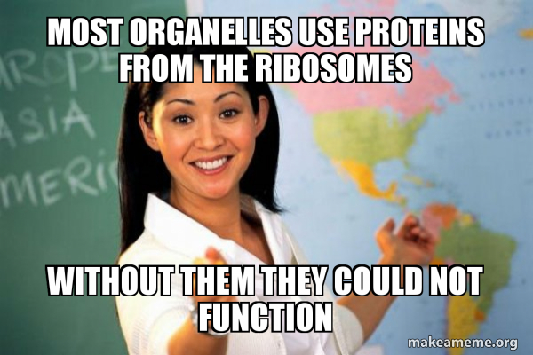 Organelle Memes
