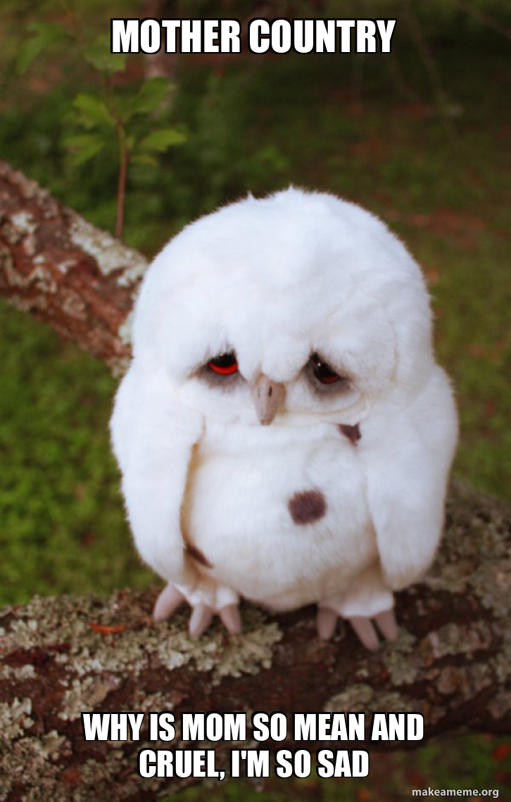 Mother country Why is mom so mean and cruel, I'm so sad - Sad Owl Meme ...
