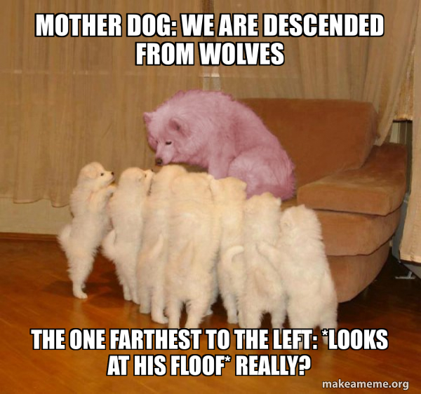 Mother dog: We are descended from wolves the one farthest to the left ...