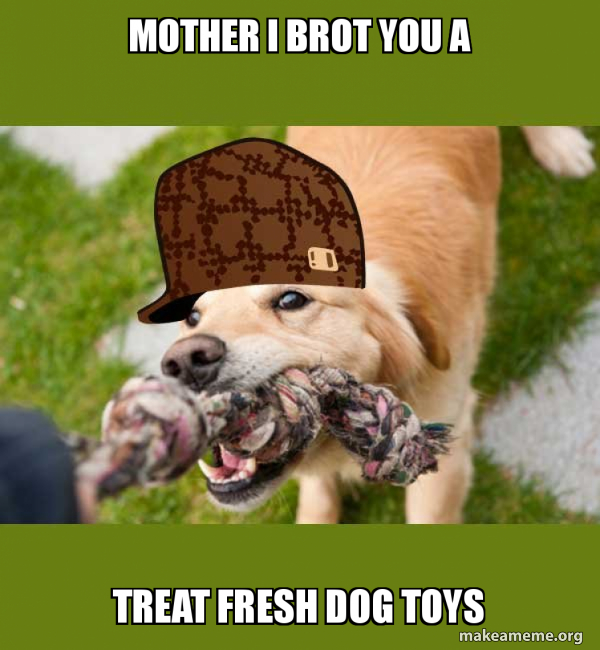 Mother i brot you a treat fresh dog toys - Scumbag dog Meme Generator