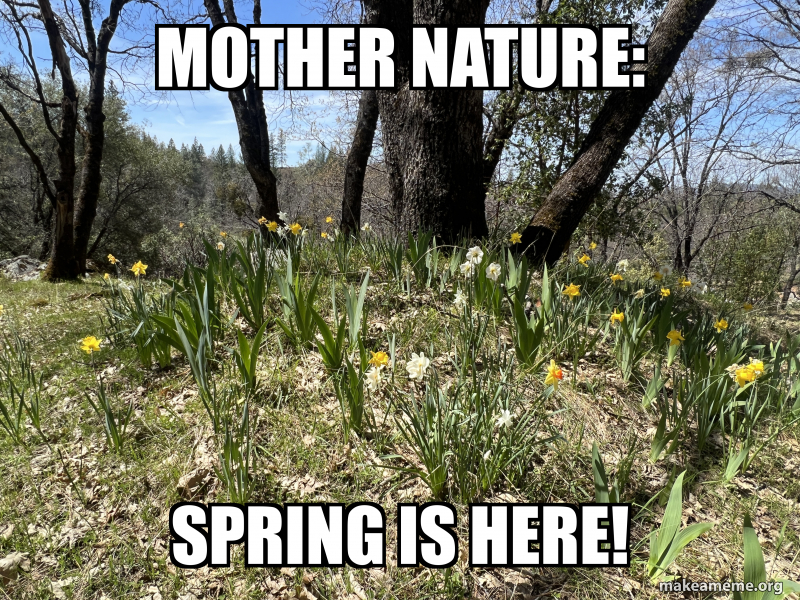 Mother Nature: Spring is here! Meme Generator