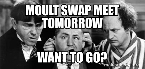 Moult swap meet tomorrow Want to go? Meme Generator