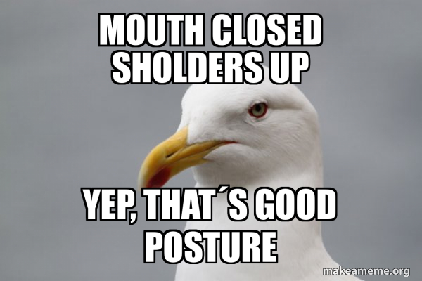 mouth closed sholders up yep, that´s good posture - Stuff That Didn't ...