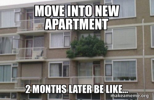 First Apartment Memes
