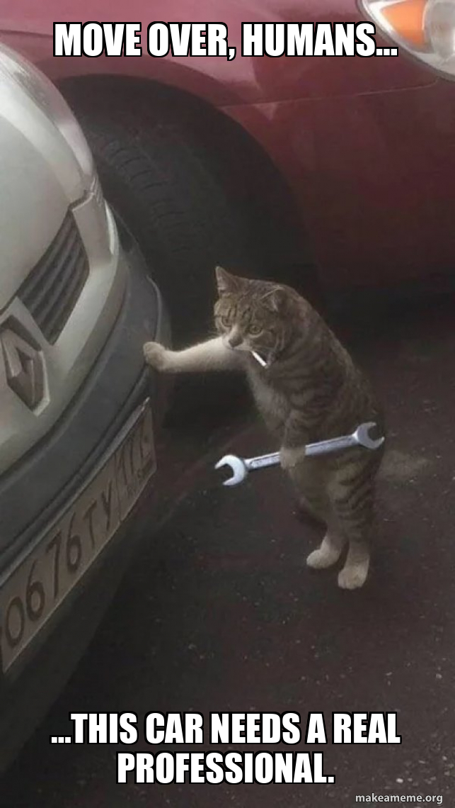 Move over, humans… …this car needs a real professional. - Mechanic Cat ...