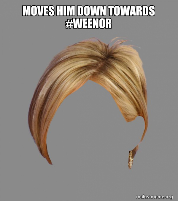 moves him down towards #WEENOR - The Karen Hair | Make a Meme