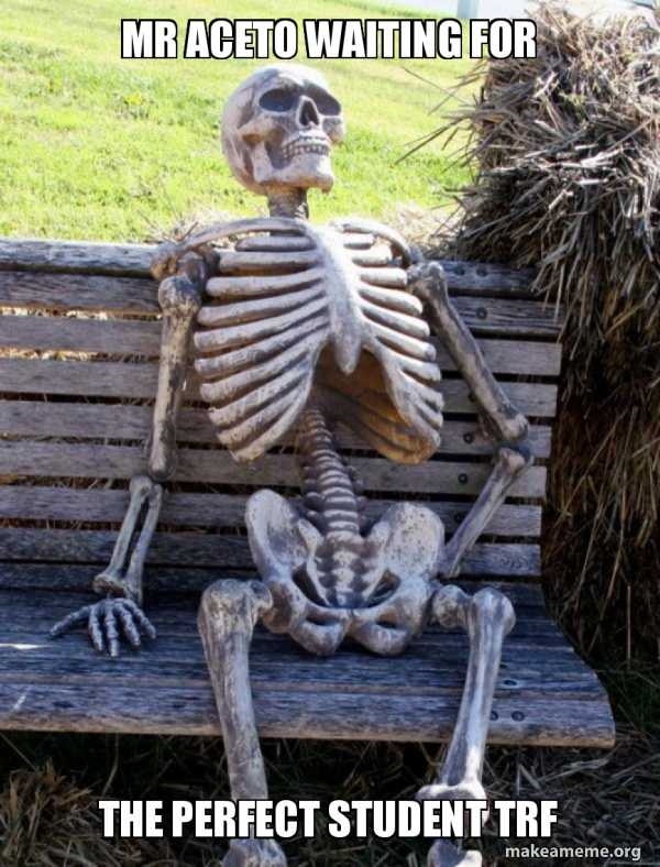 MR ACETO WAITING FOR THE PERFECT STUDENT TRF - Waiting Skeleton | Make ...