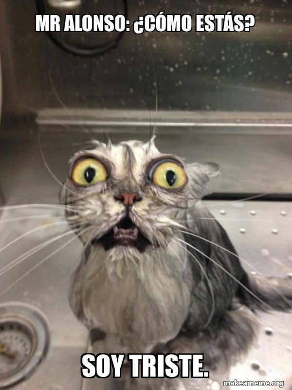 Mr Alonso Cómo Estás Soy Triste Cat Bath Meme Generator