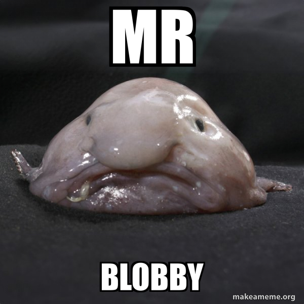 Mr blobby - Blobfish Meme Generator