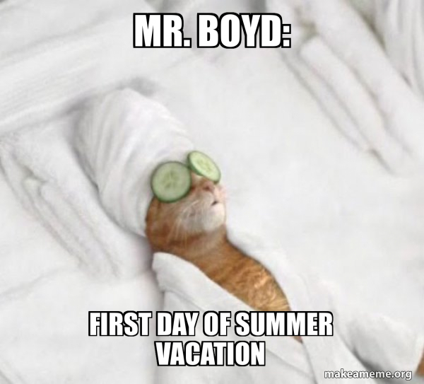 Mr. Boyd: First day of Summer Vacation - Pampered Cat Meme Meme Generator