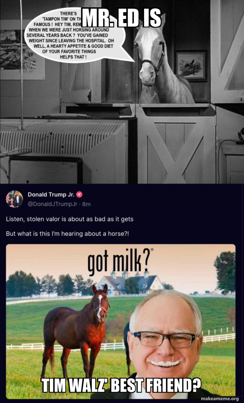 Mr. Ed is Tim Walz' Best friend? Meme Generator