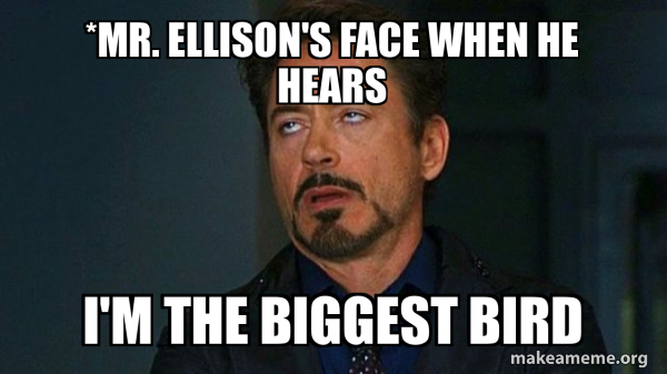 *Mr. Ellison's Face when he hears I'm the biggest bird - Tony Stark Eye ...