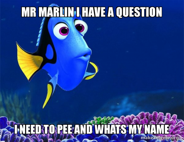 mr marlin i have a question I NEED TO PEE and whats my name - Dory from ...
