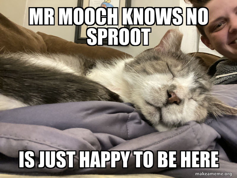 Mr mooch knows no sproot Is just happy to be here Meme Generator