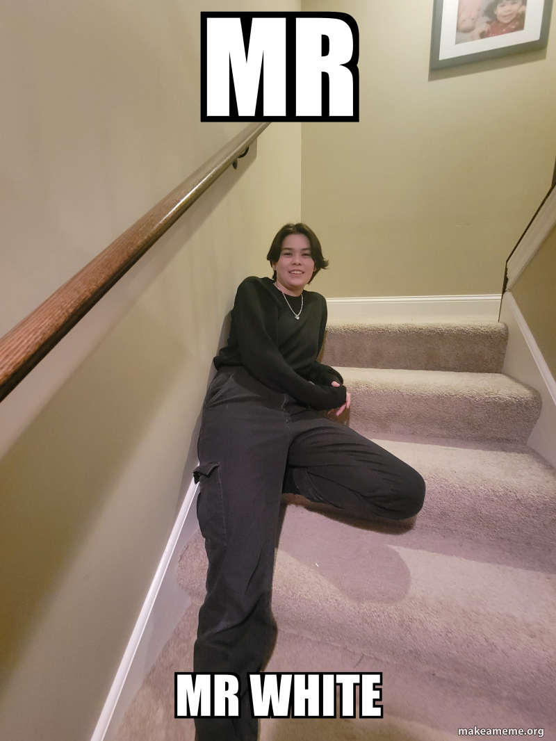 mr mr white Meme Generator