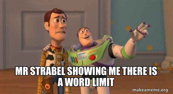 Mr Strabel showing me there is a word limit - Buzz and Woody (Toy Story ...