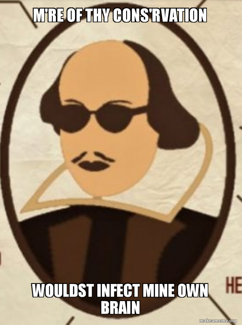 M're of thy cons'rvation wouldst infect mine own brain Meme Generator