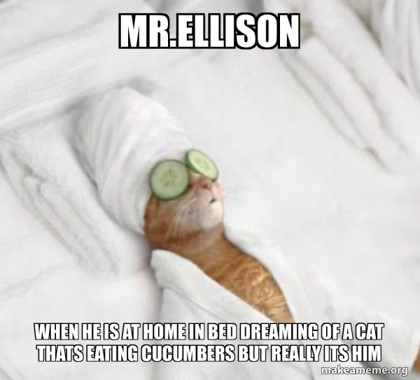 Mr.Ellison When he is at home in bed dreaming of a cat thats eating ...