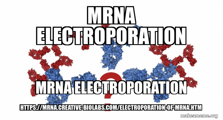 mRNA Electroporation mRNA Electroporation https://mrna.creative-biolabs ...