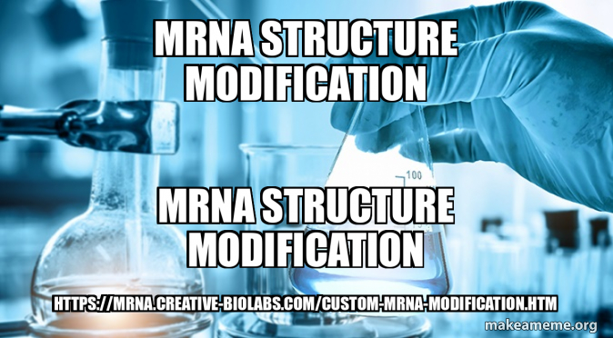mRNA structure modification mRNA structure modification https://mrna ...