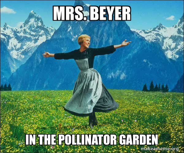 Mrs. Beyer In the Pollinator Garden - Sound of Music Meme Generator