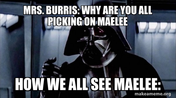 Mrs. Burris: why are you all picking on maelee How we all see Maelee ...