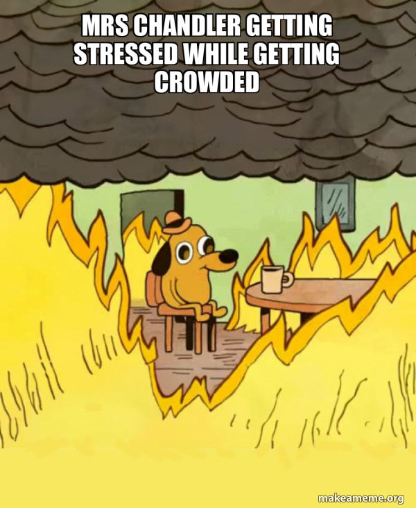 MRS CHANDLER GETTING STRESSED WHILE GETTING CROWDED - This Is Fine Meme ...