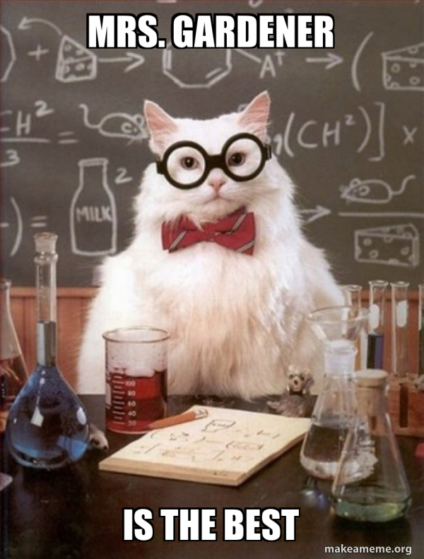 Mrs. Gardener Is the best - Chemistry Cat Meme Generator