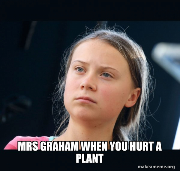 Mrs Graham when you hurt a plant - Greta Thunberg Meme Generator