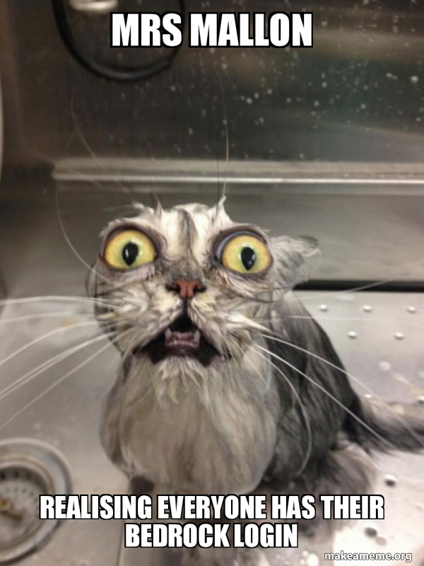 Mrs Mallon realising EVERYONE has their Bedrock login - Cat bath Meme ...