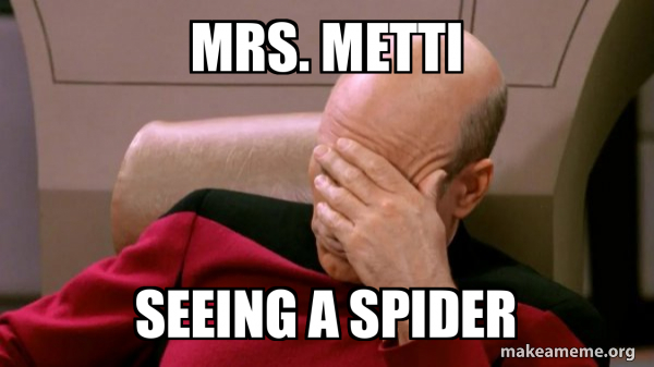 Mrs. Metti seeing a spider - Picard Facepalm Meme Generator