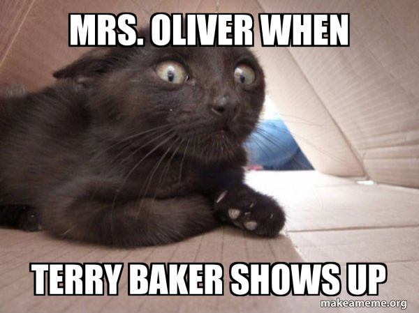 Mrs. Oliver when Terry Baker shows up - Schitzo Cat Meme Generator