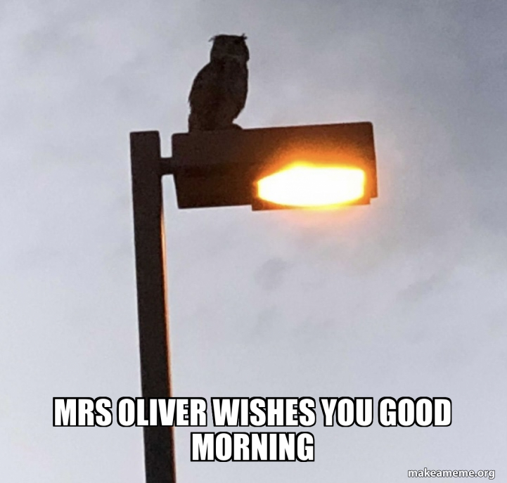 Mrs oliver wishes you good morning Meme Generator