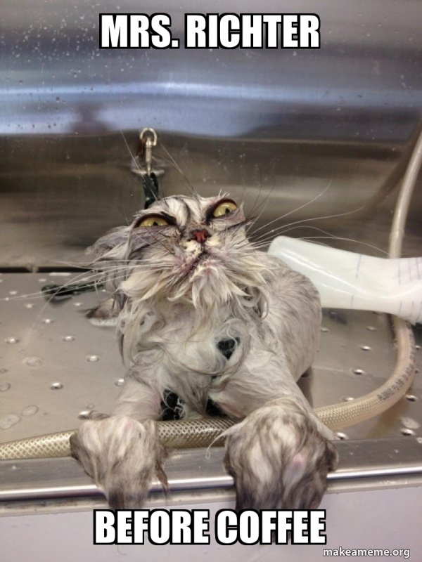 Mrs. Richter Before coffee - Cat Bath Returns Meme Generator