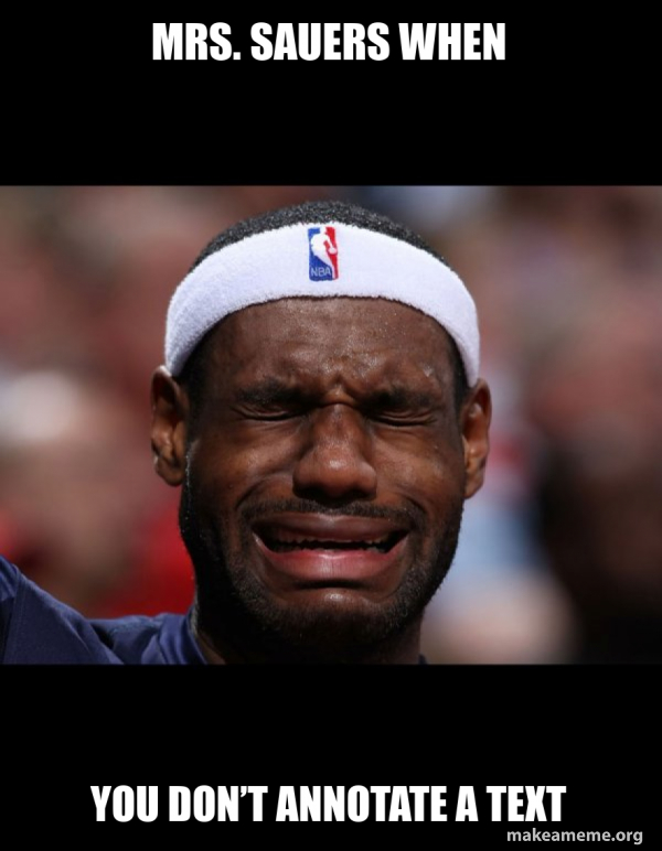 Mrs. Sauers when You don’t annotate a text - Lebron Crying Meme Generator