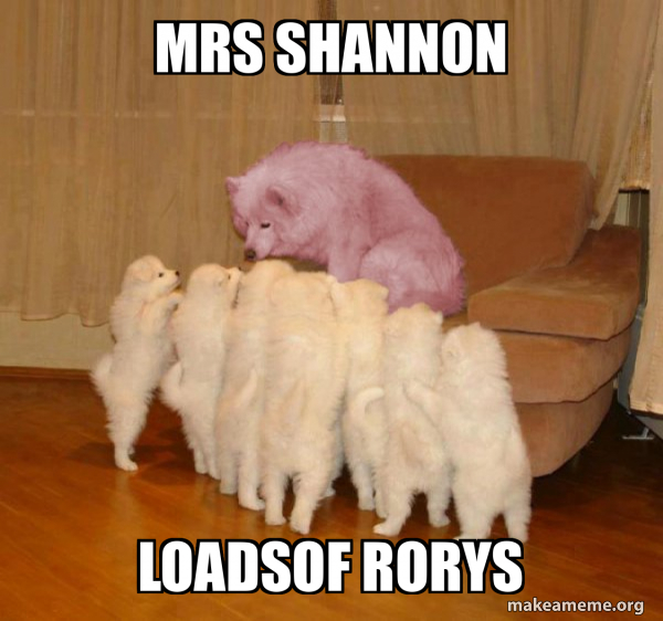 mrs shannon loadsof rorys - Malicious Storytelling Dog Meme Generator
