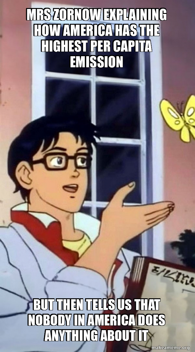 Mrs Zornow explaining how america has the highest per capita emission ...