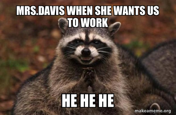 Mrs.davis when she wants us to work he he he - Evil Plotting Raccoon ...