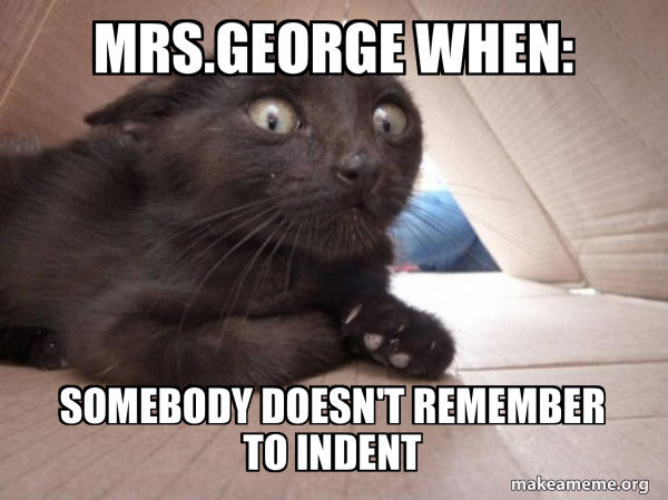Mrs.George when: Somebody doesn't remember to indent - Schitzo Cat Meme ...