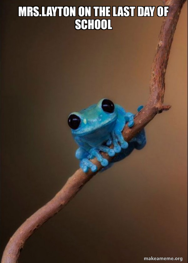 mrs.layton on the last day of school - Small Fact Frog Meme Generator